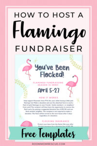 Flamingo Fundraiser (You've Been Flocked!) | Room Mom Rescue